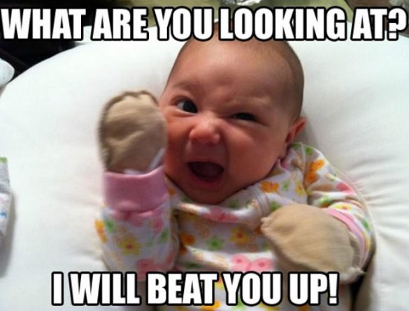 60 Funny Baby Memes That'll Improve Your Mood – Child Insider