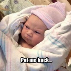 40 Hilarious Angry Baby Memes for 2024 – Child Insider